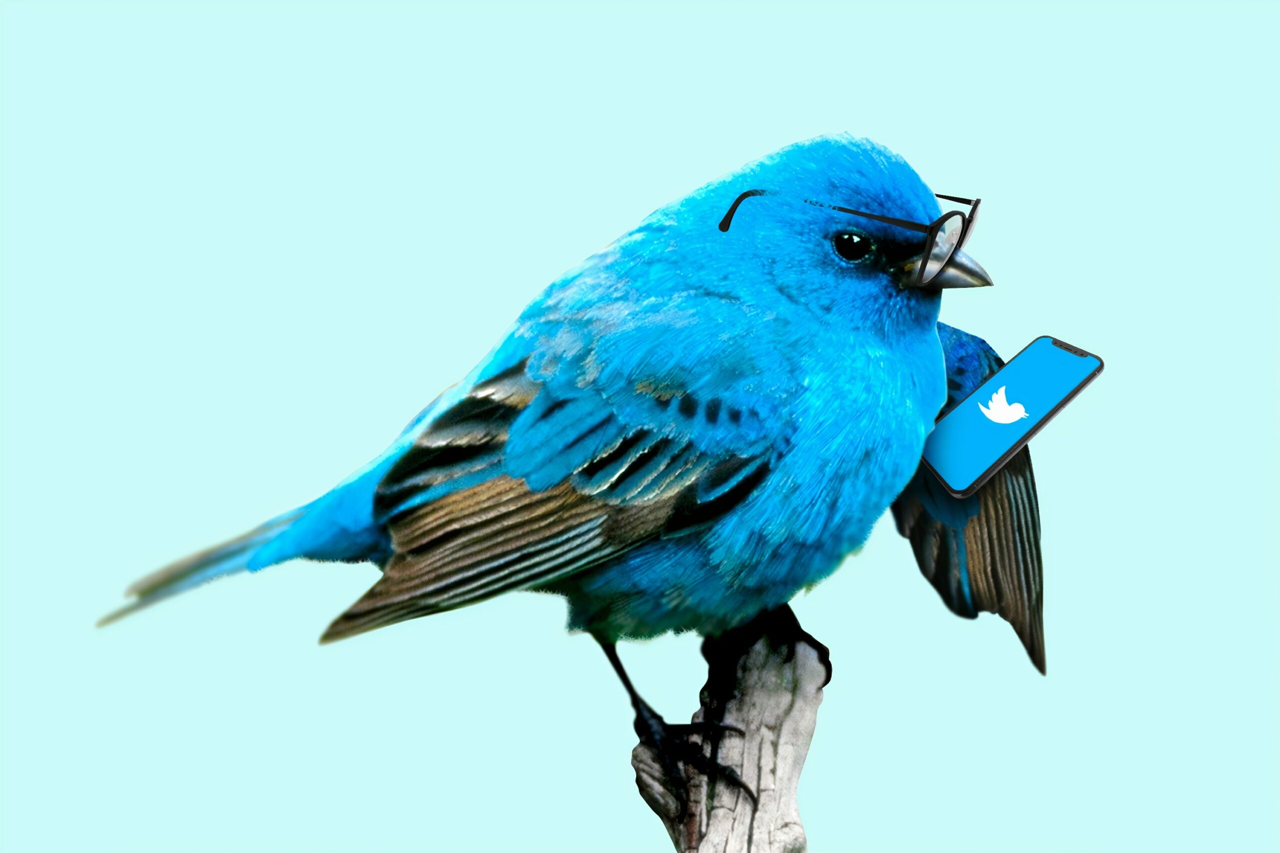 How to Measure the Effectiveness of Your Tweets? | Terminus Blog